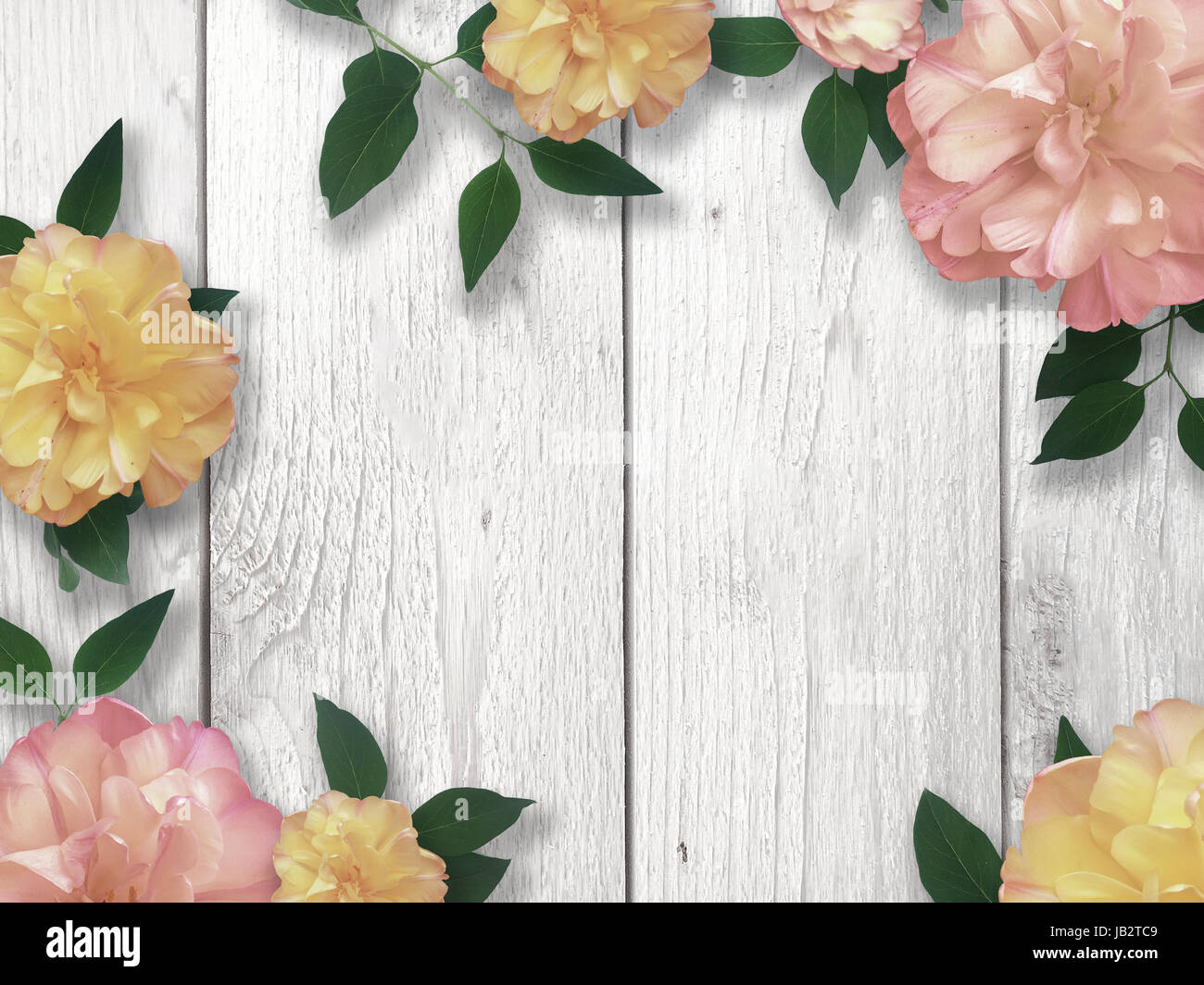 Border flower white wood hi-res stock photography and images - Alamy