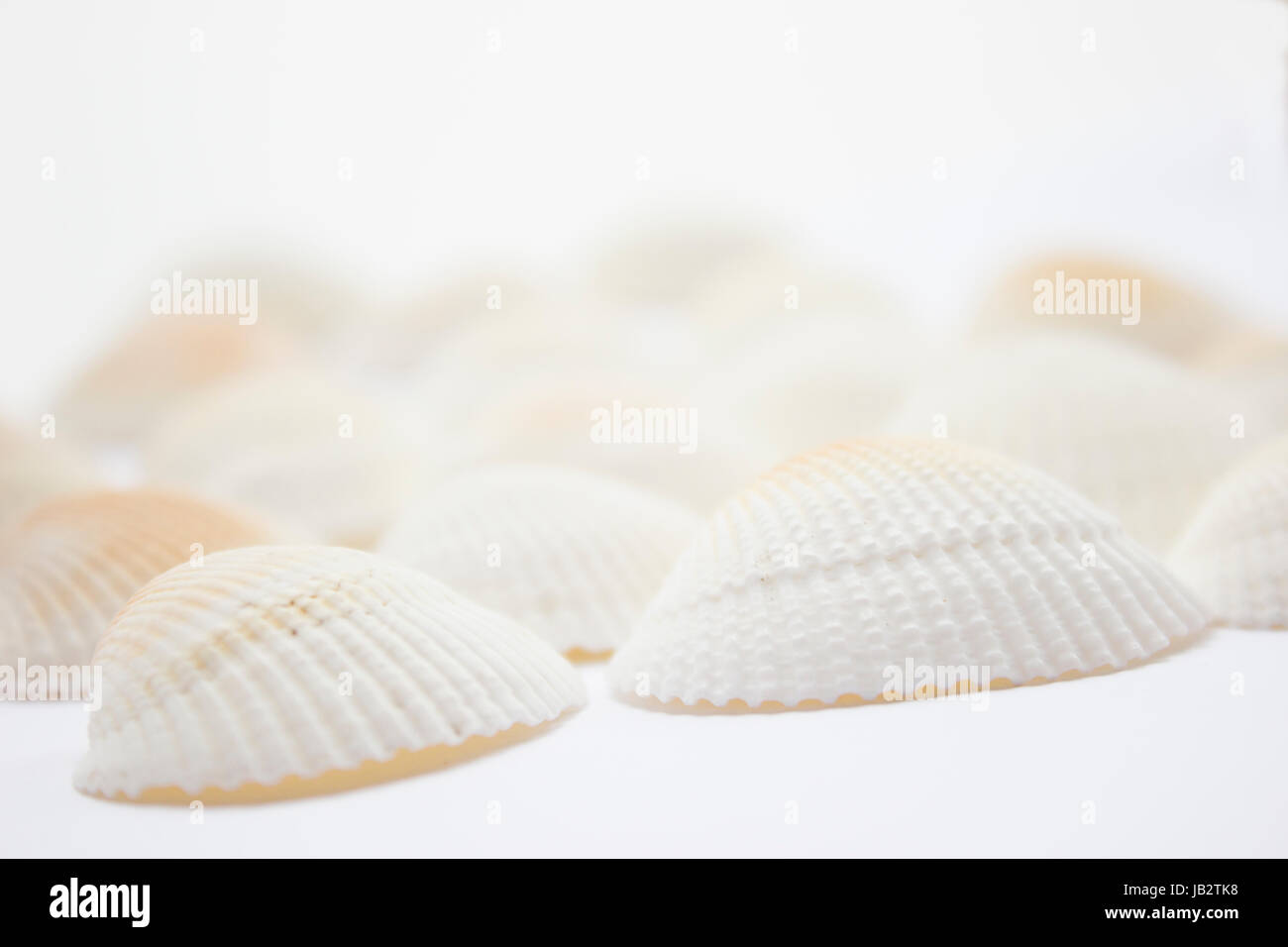 Different soft colored seashells on a white background Stock Photo - Alamy