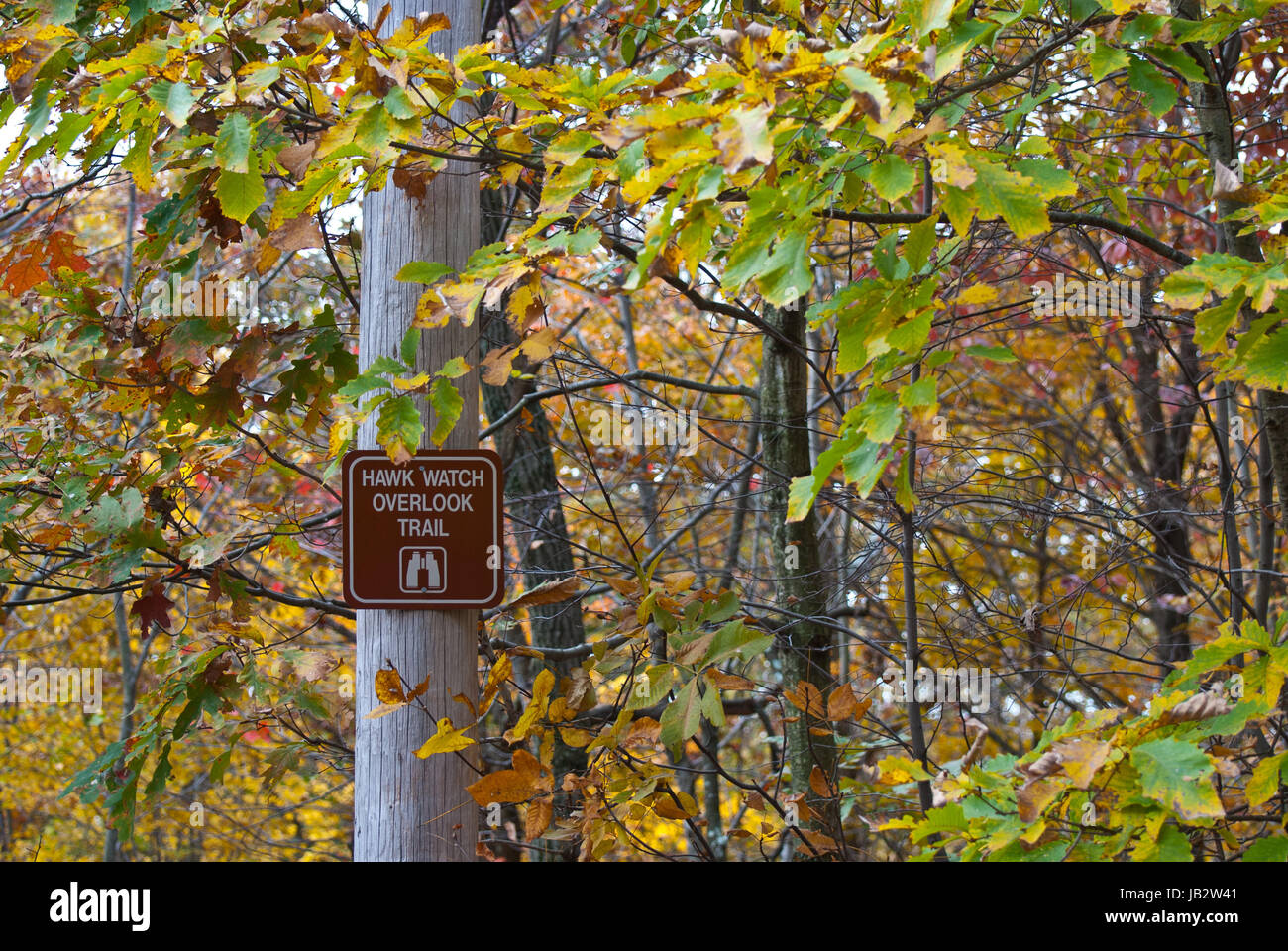 Hawkwatch hi-res stock photography and images - Alamy