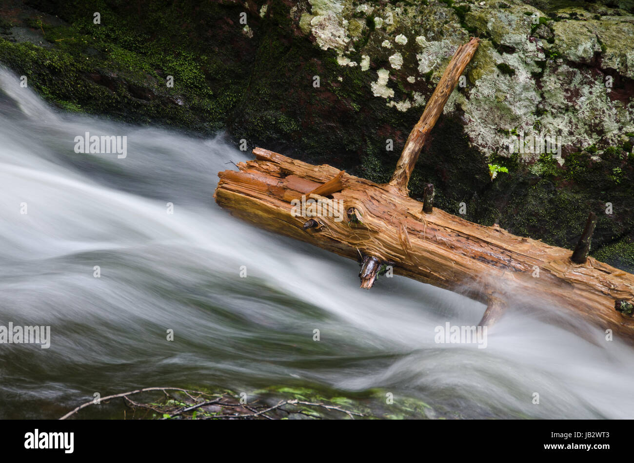 The Power of Nature Stock Photo - Alamy