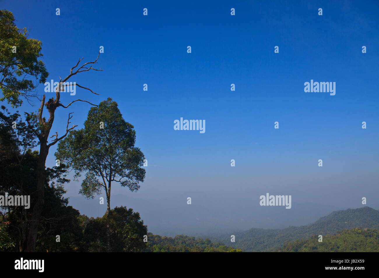 Views of the valley in the national park Stock Photo - Alamy