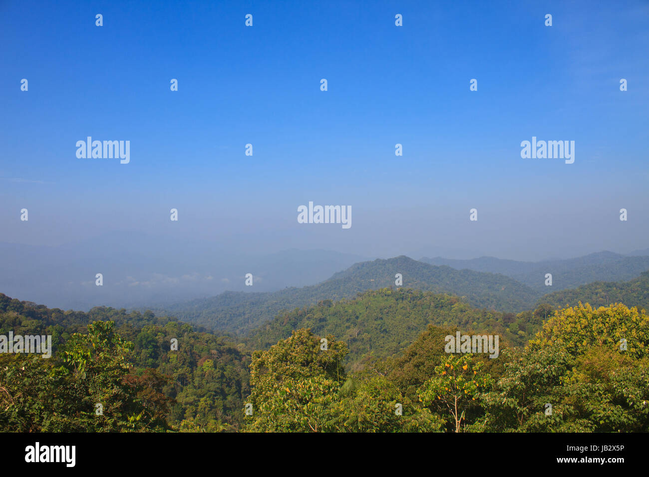 Views of the valley in the national park Stock Photo - Alamy