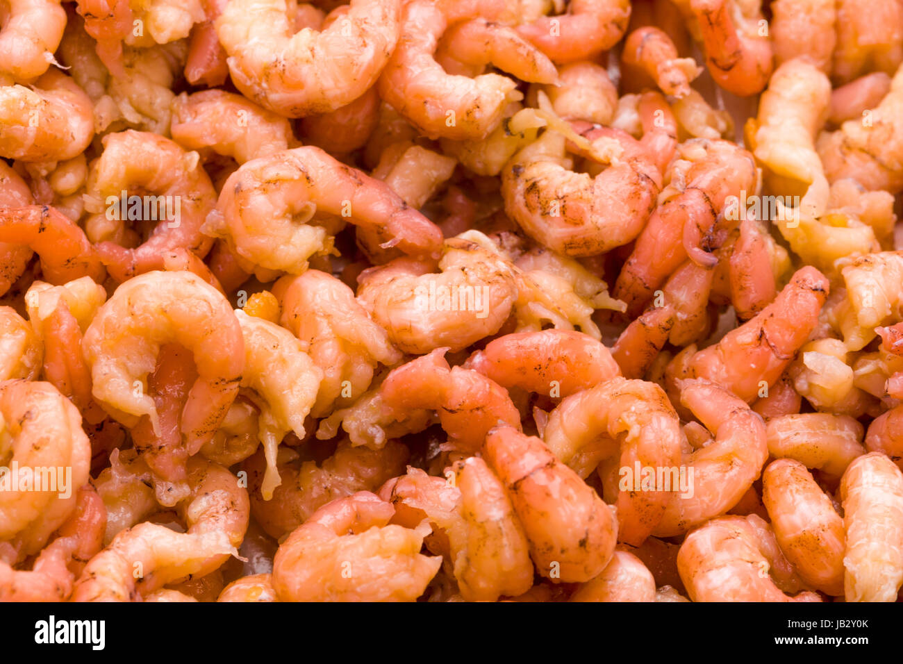 Nordsee krabbe hi-res stock photography and images - Alamy