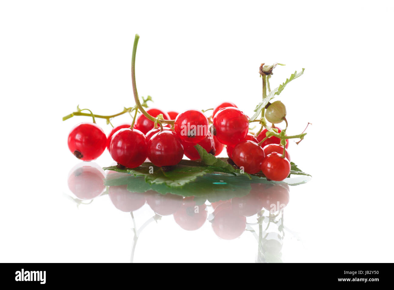 Fresh red currant Stock Photo - Alamy