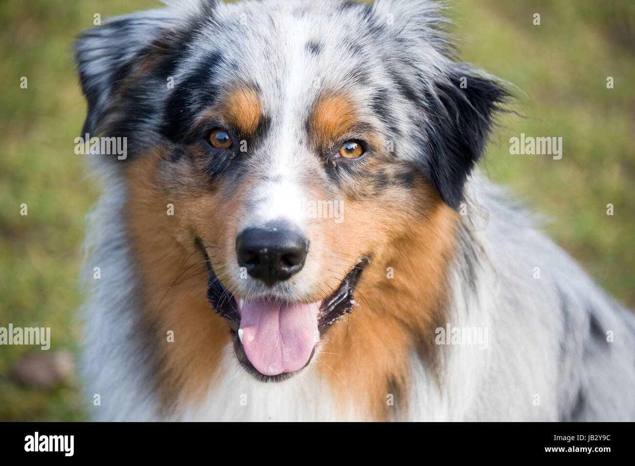 Horizontal close up landscape hi-res stock photography and images - Alamy