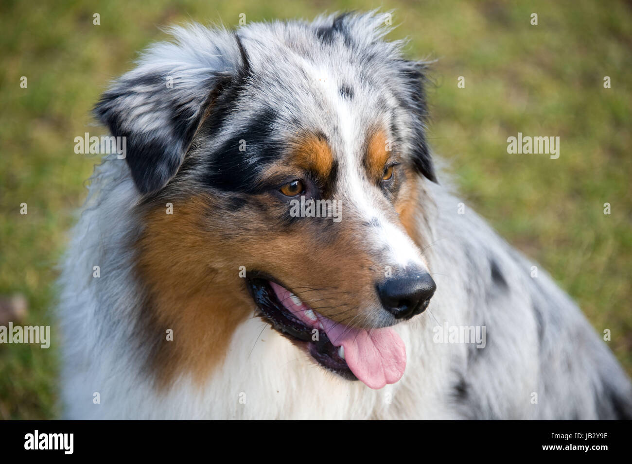 Horizontal close up landscape hi-res stock photography and images - Alamy