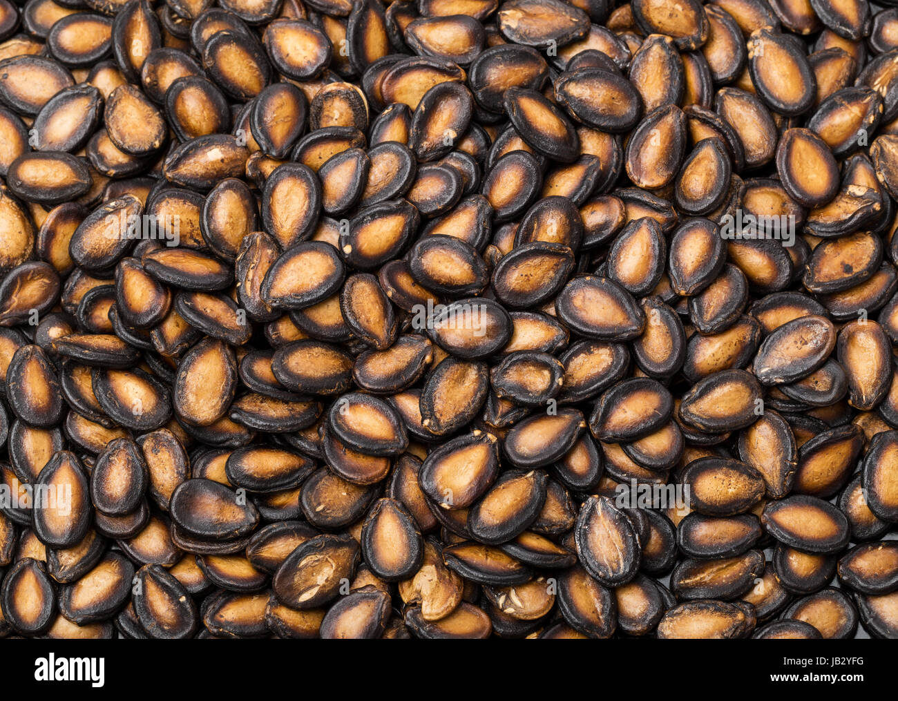 Dried black watermelon seed Stock Photo - Alamy