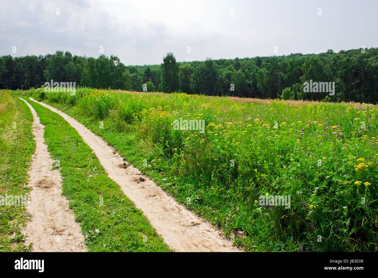 typical Russian landscape with a road across a green field Stock Photo ...