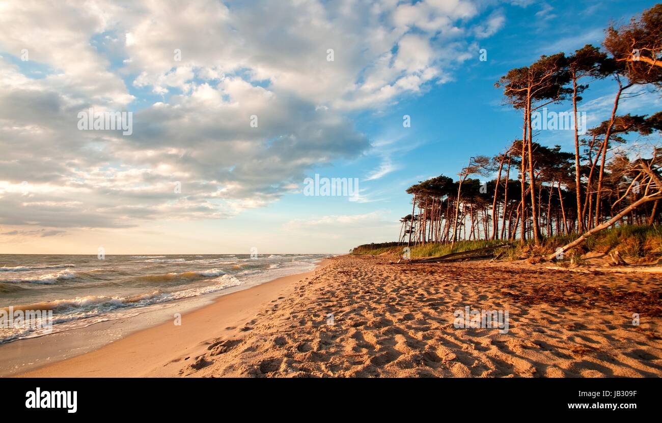 salt water sea Stock Photo - Alamy