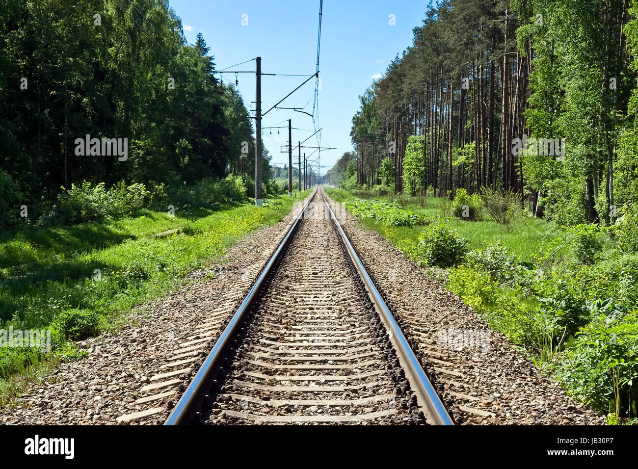 Long railway in the forest Stock Photo - Alamy