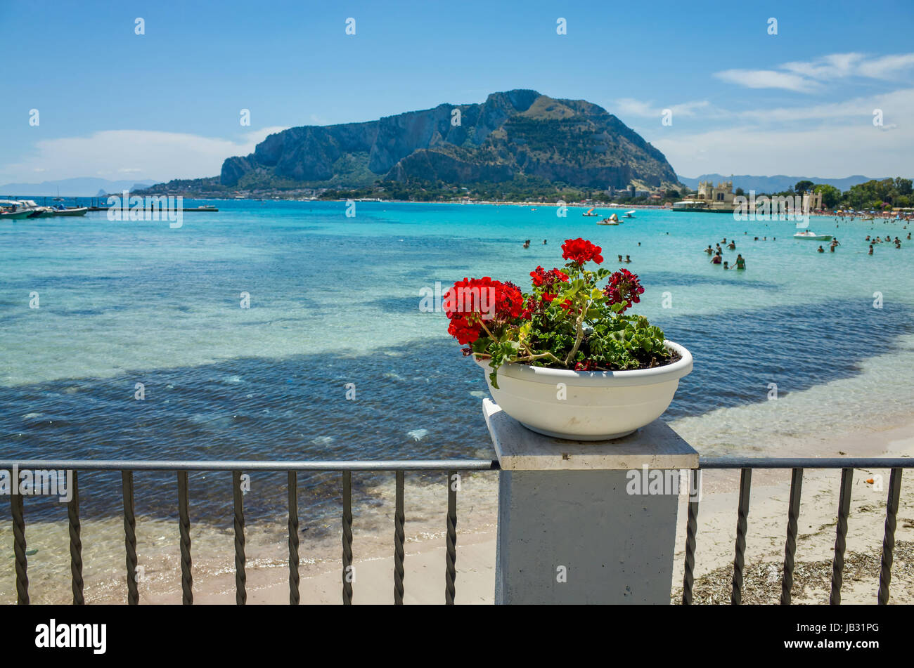 Red flowers in front of Mondello beach near Palermo, Italy Stock Photo ...