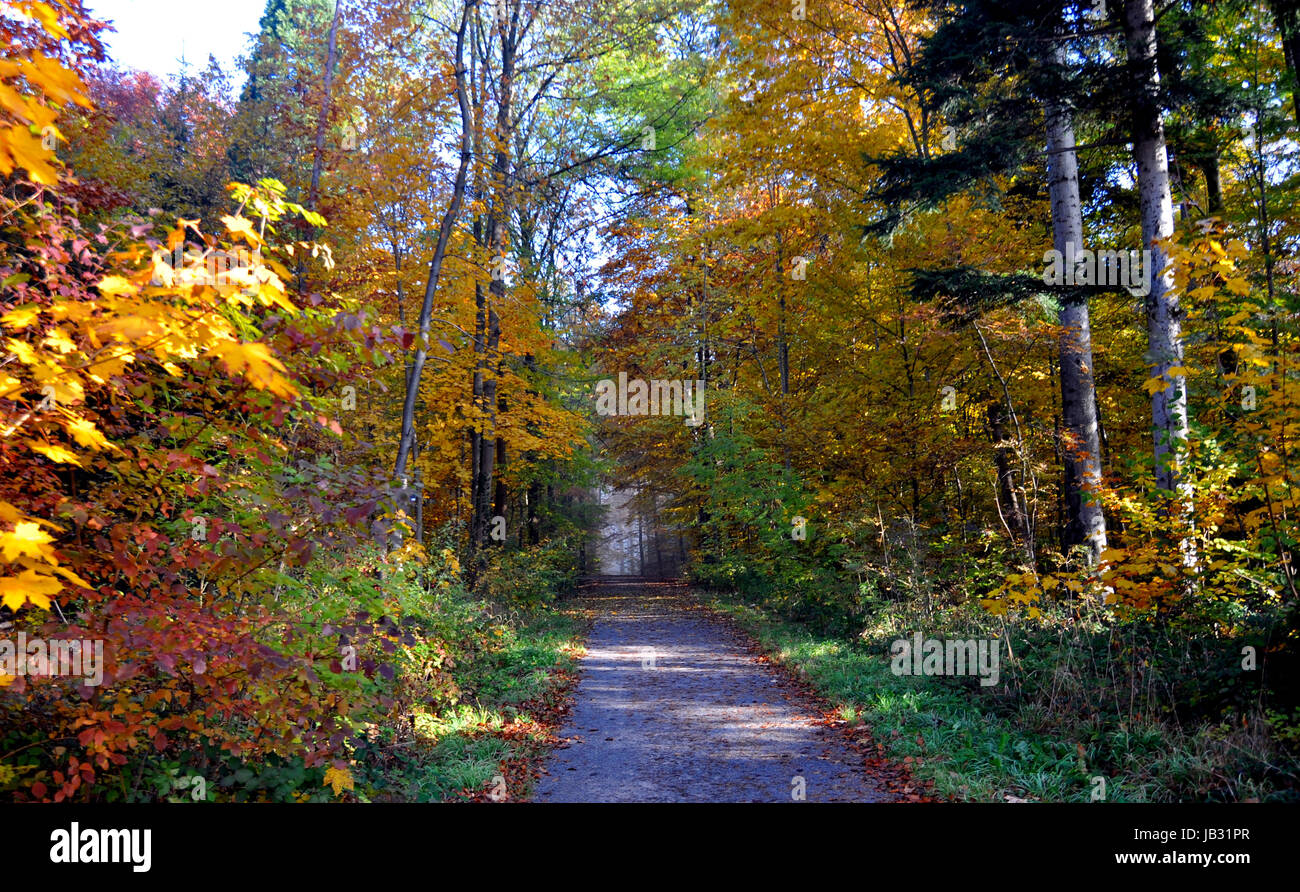 road in the fall Stock Photo - Alamy