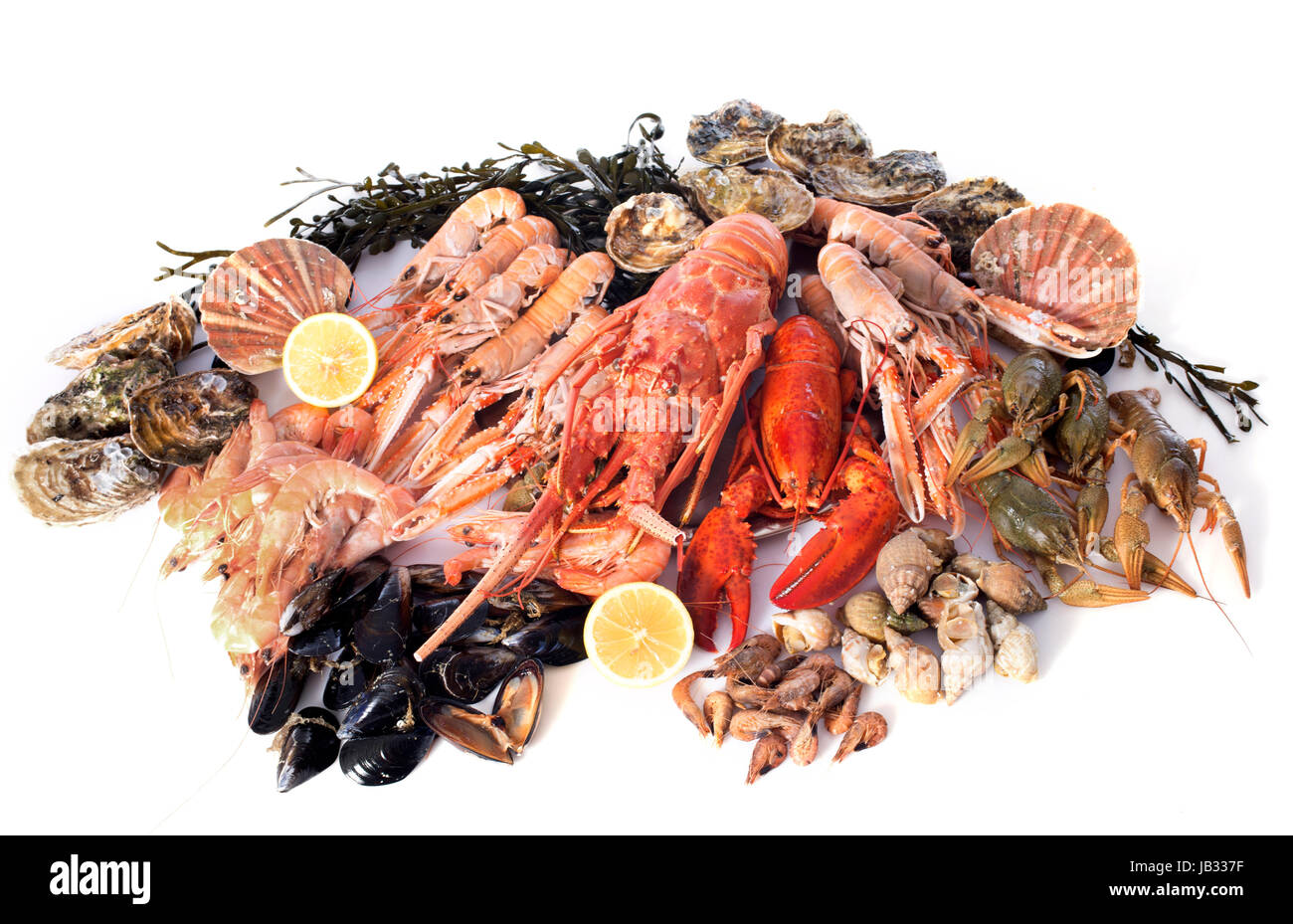 various seafood in front of white background Stock Photo - Alamy