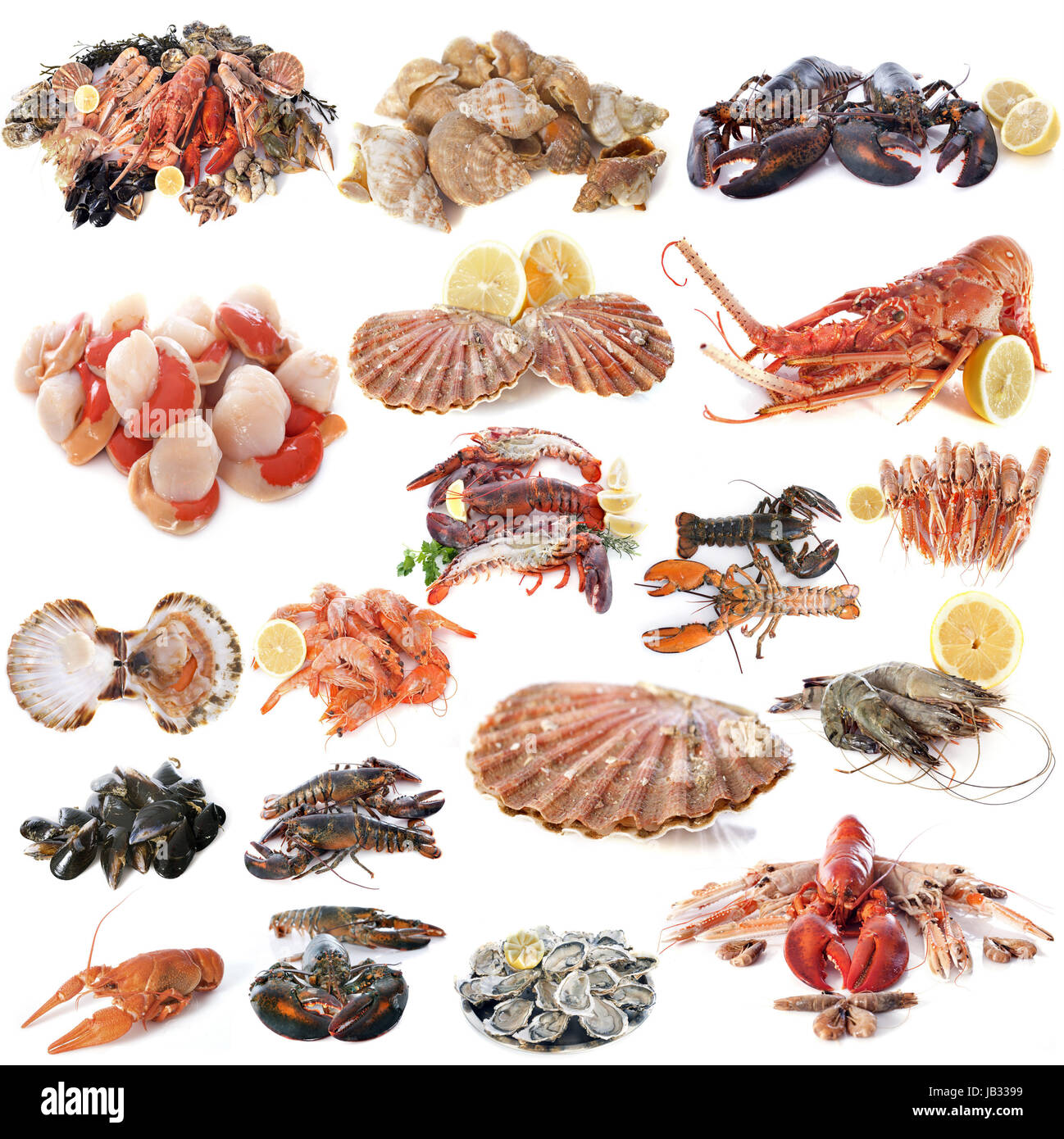 seafood and shellfish in front of white background Stock Photo - Alamy