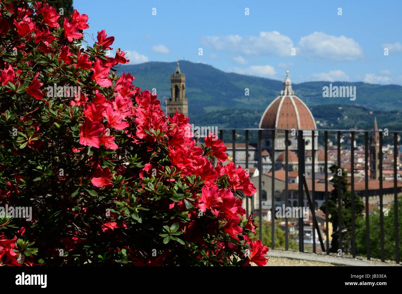 Red Azalea in Bloom and Cathedral of Santa Maria del Fiore on ...