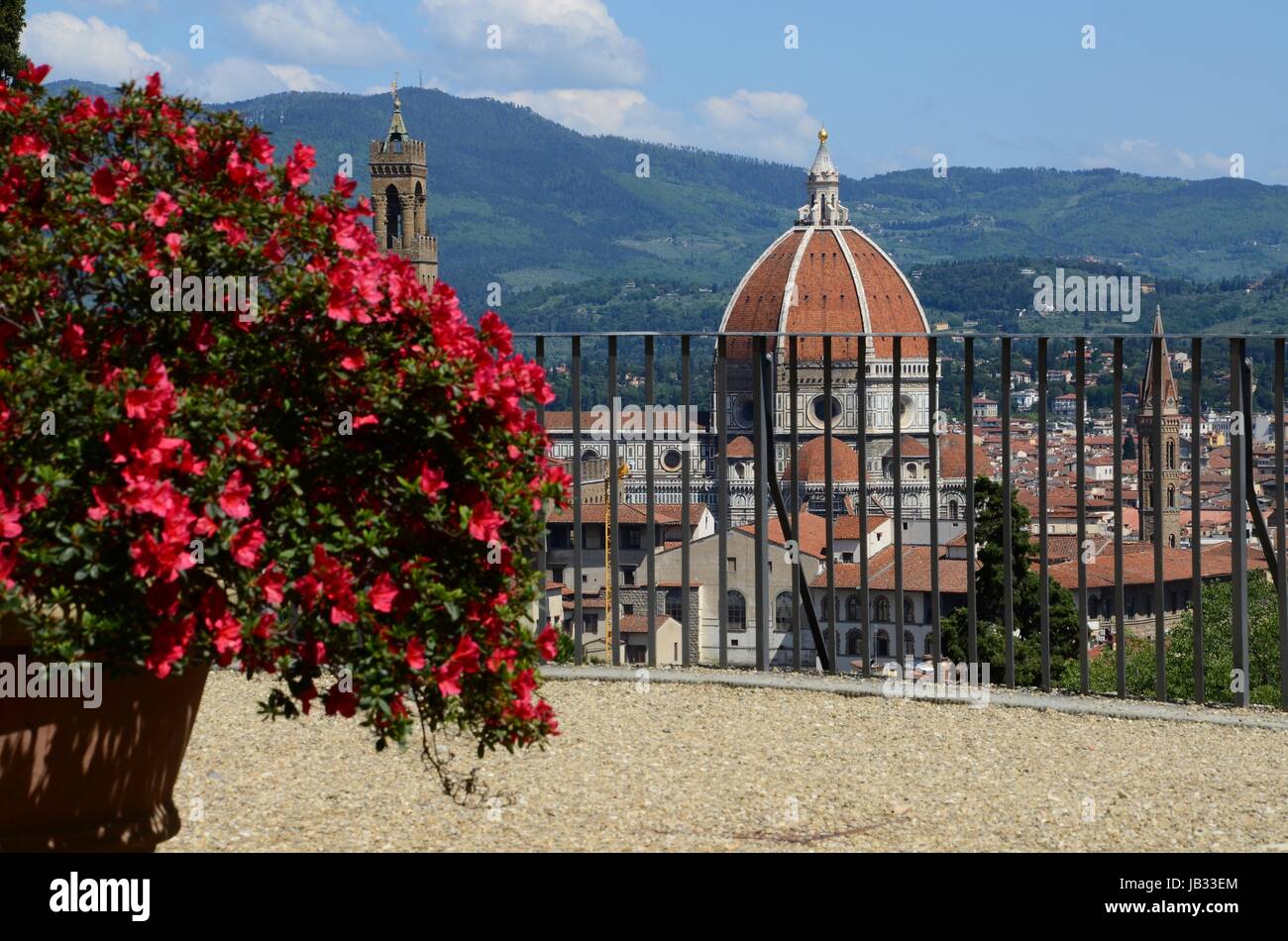Red Azalea in Bloom and Cathedral of Santa Maria del Fiore on ...