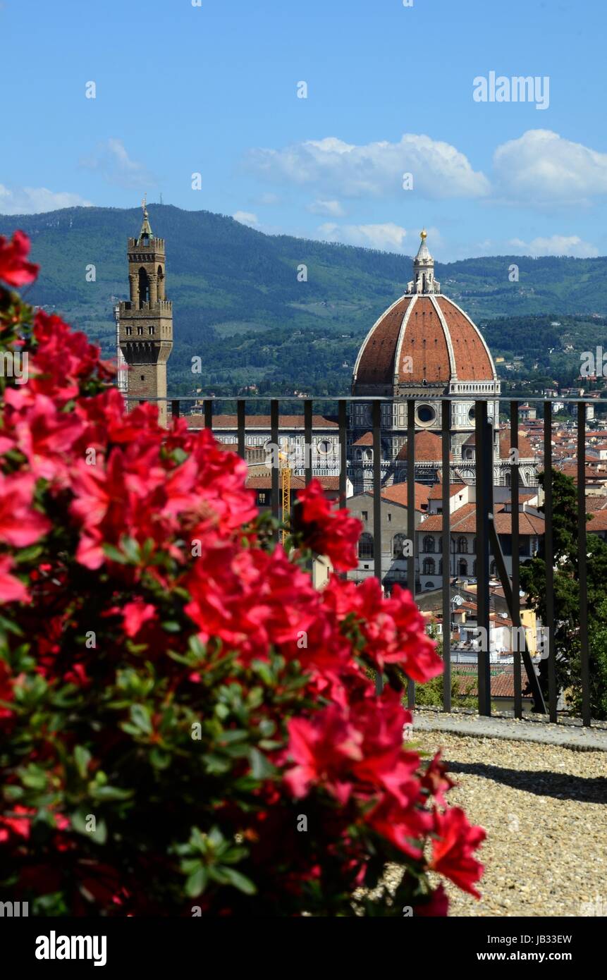 Red Azalea in Bloom and Cathedral of Santa Maria del Fiore on ...