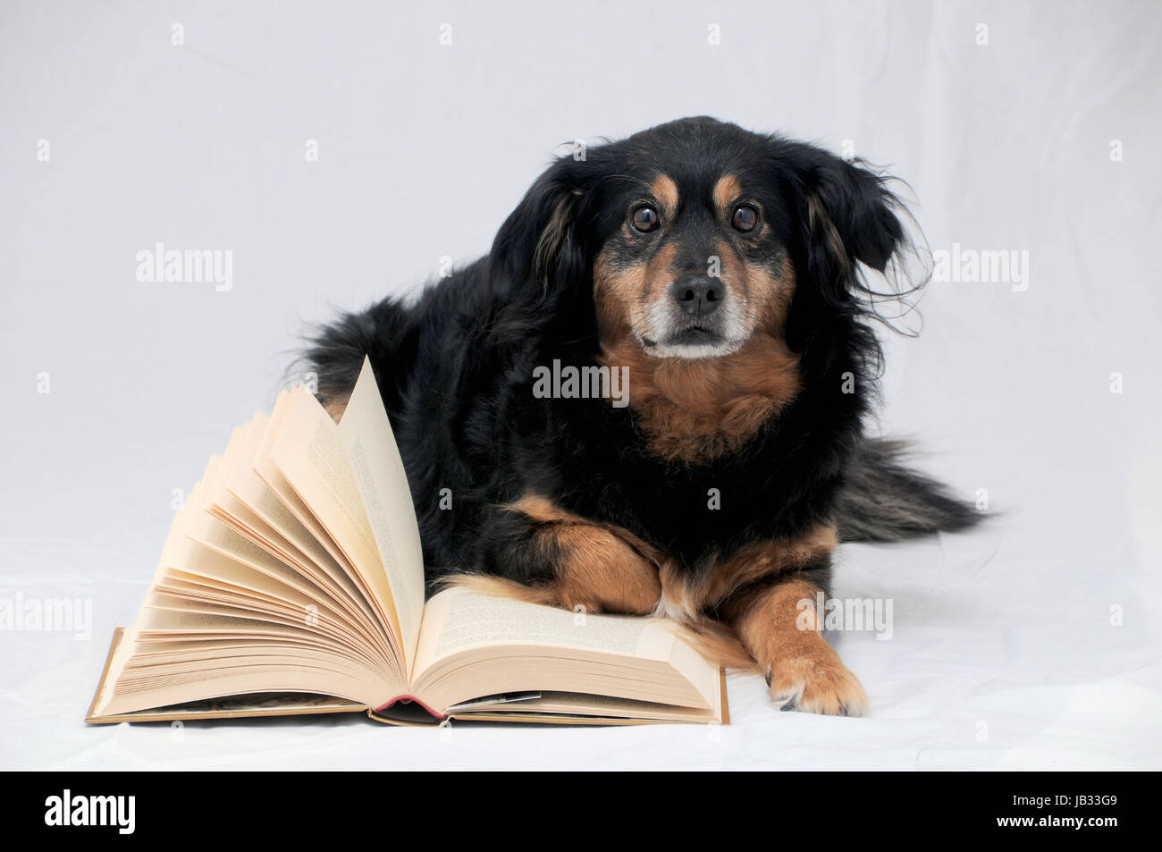 420a hi-res stock photography and images - Alamy