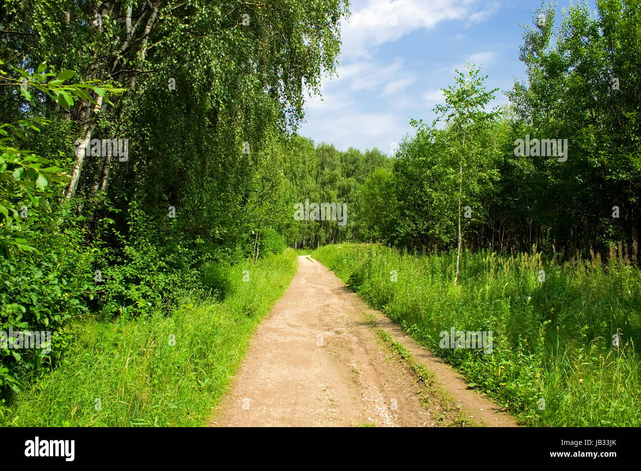 A road in Bitsa Park, Moscow, Russia Stock Photo - Alamy