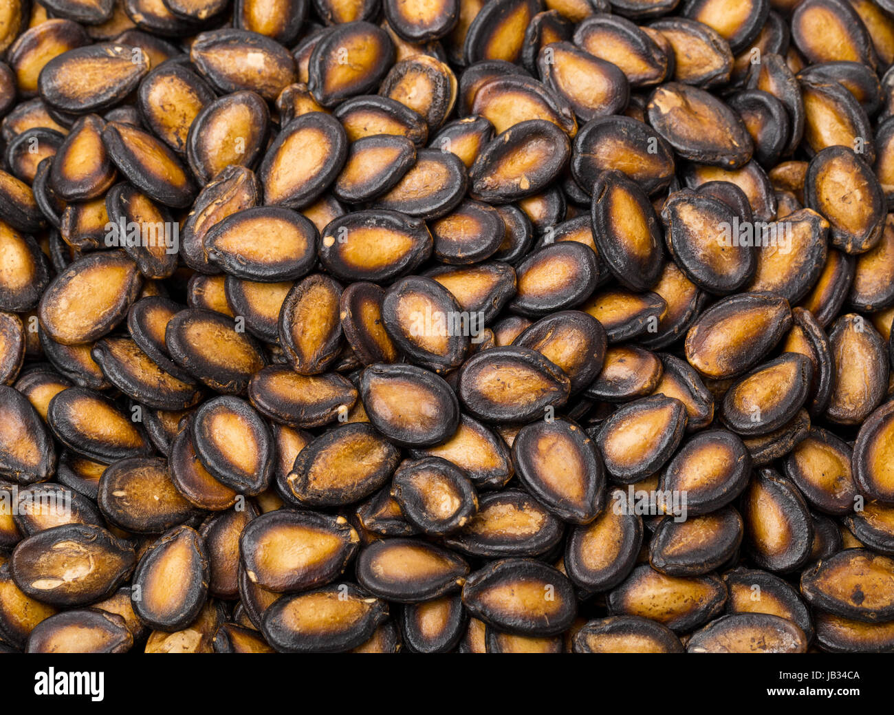 Black watermelon seed Stock Photo - Alamy