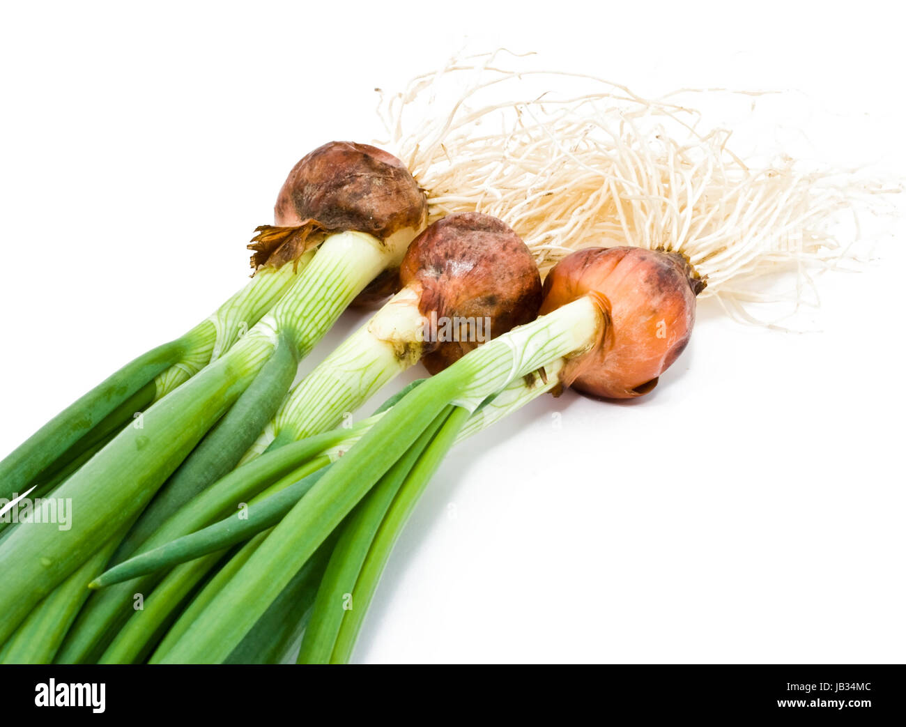 Fresh green leek isolated on white background Stock Photo - Alamy