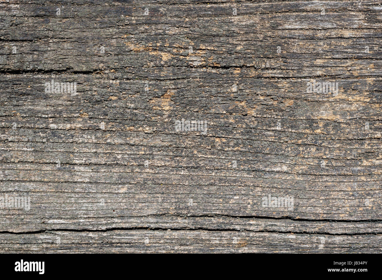 Old aged wood planks, texture with natural pattern Stock Photo - Alamy