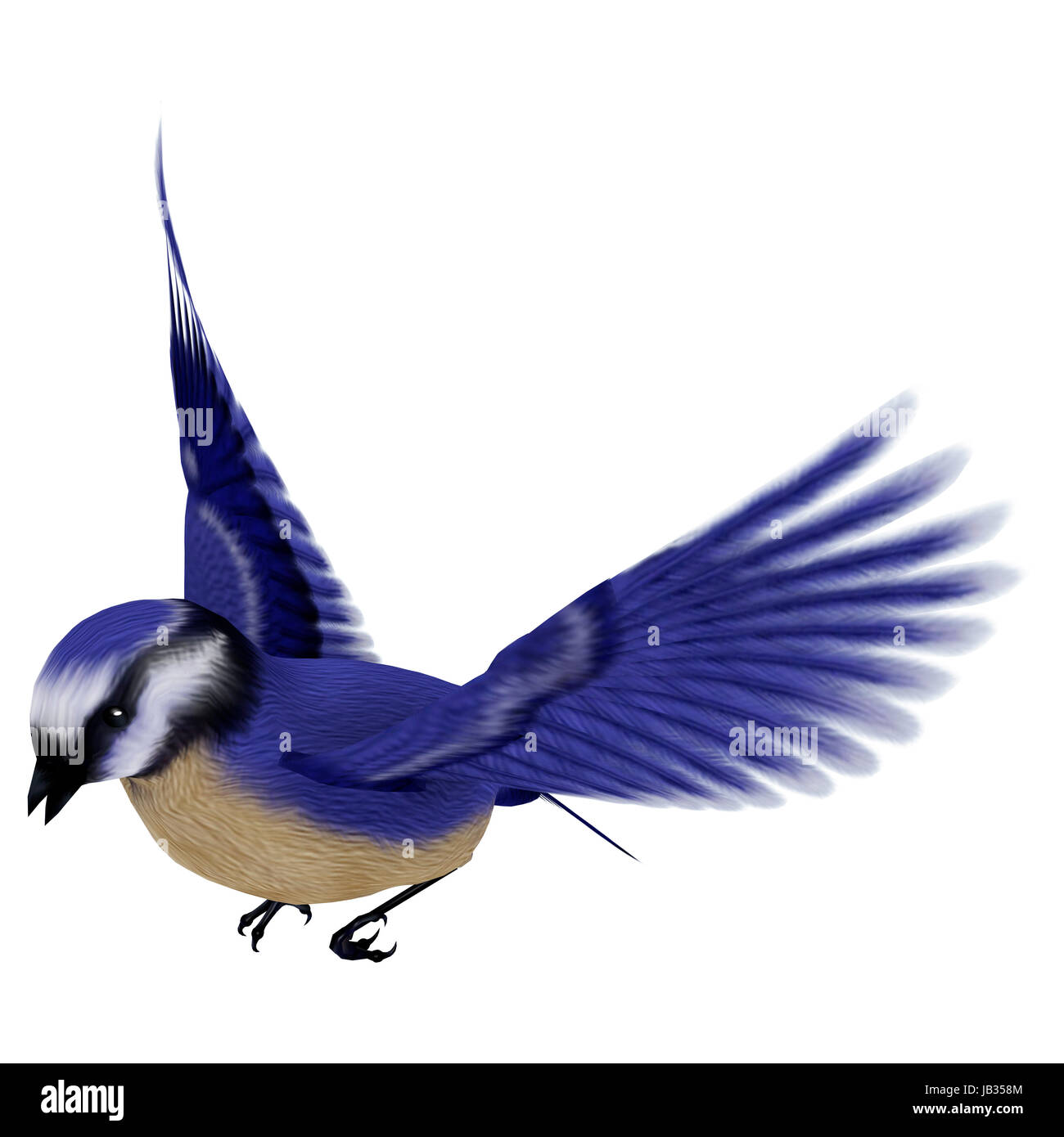 3D digital render of a flying songbird Florida jay isolated on white ...