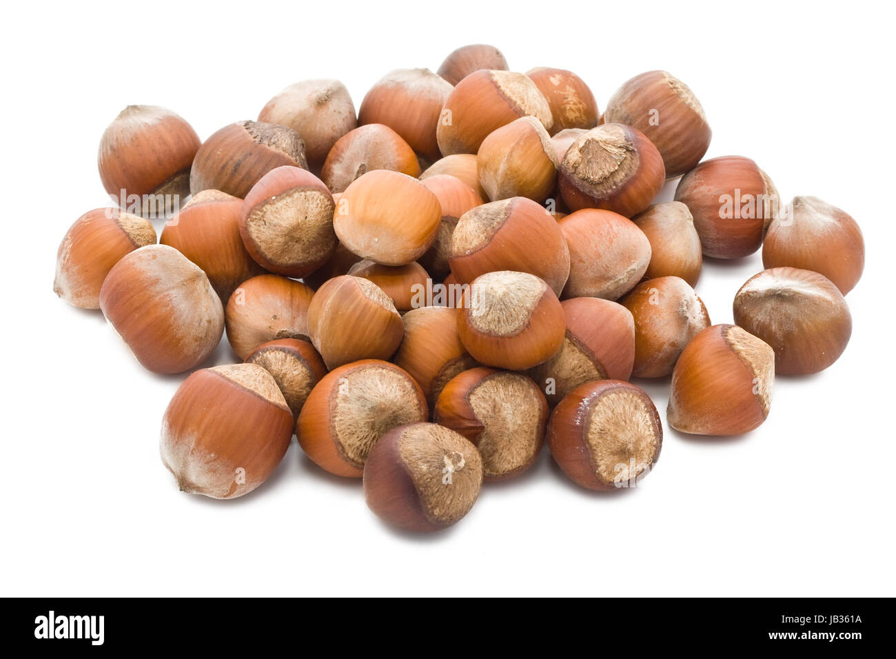 Filbert nuts isolated on white background Stock Photo - Alamy