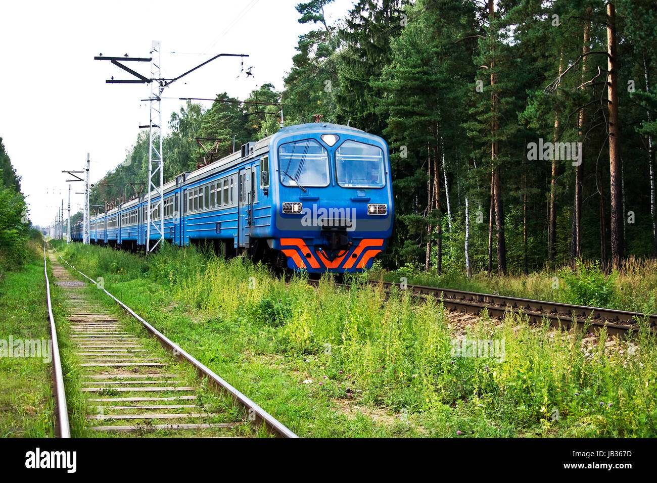 Electric train in the forest Stock Photo - Alamy