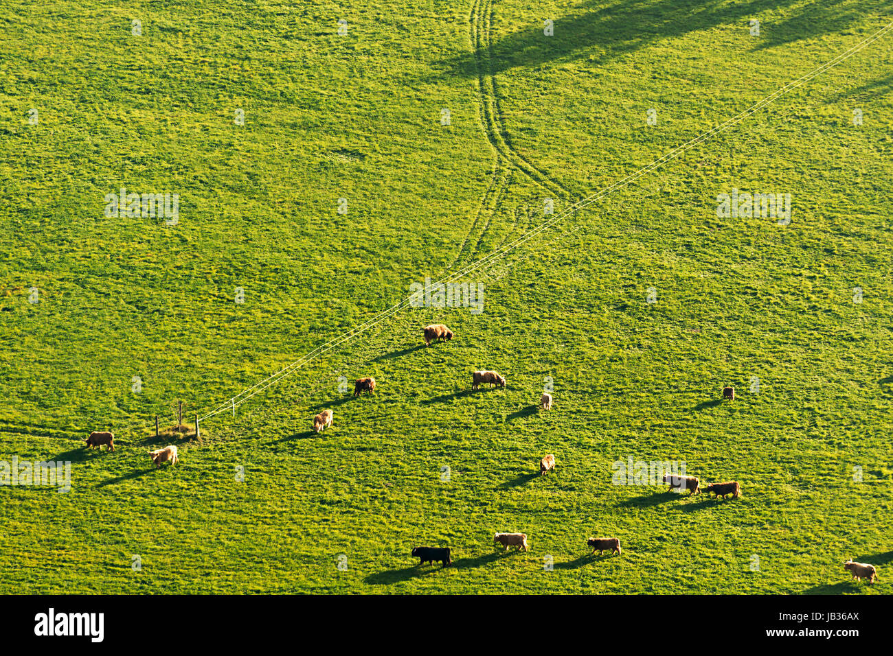 Saxon switzerland animals hi-res stock photography and images - Alamy