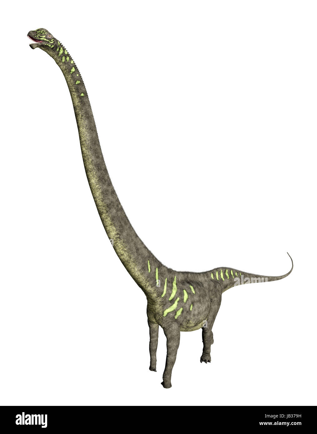 Mamenchisaurus hi-res stock photography and images - Alamy