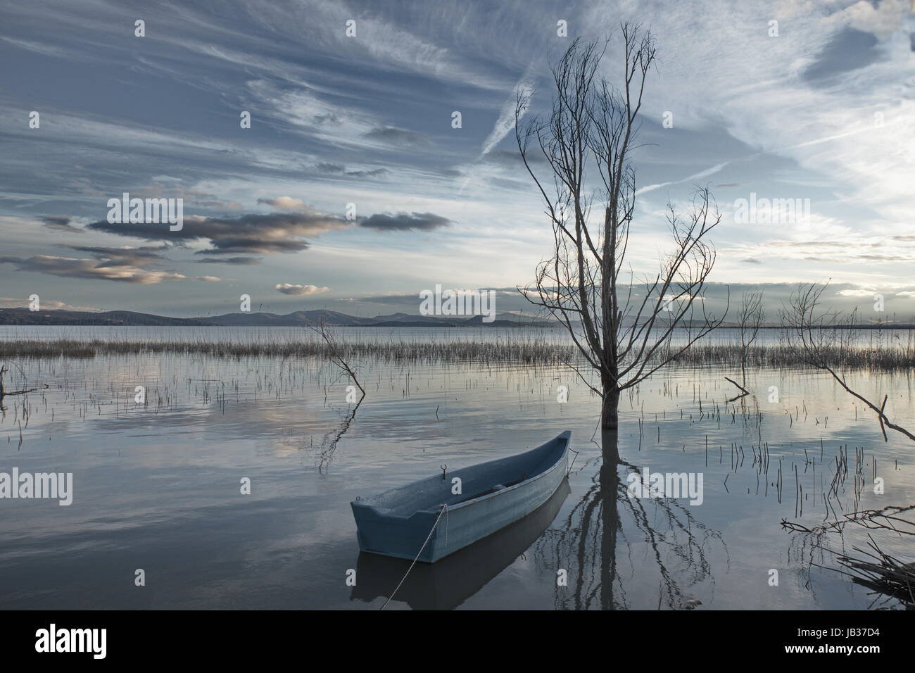 An empty, small blue boat near a tree, with a beautiful blue sky, white ...