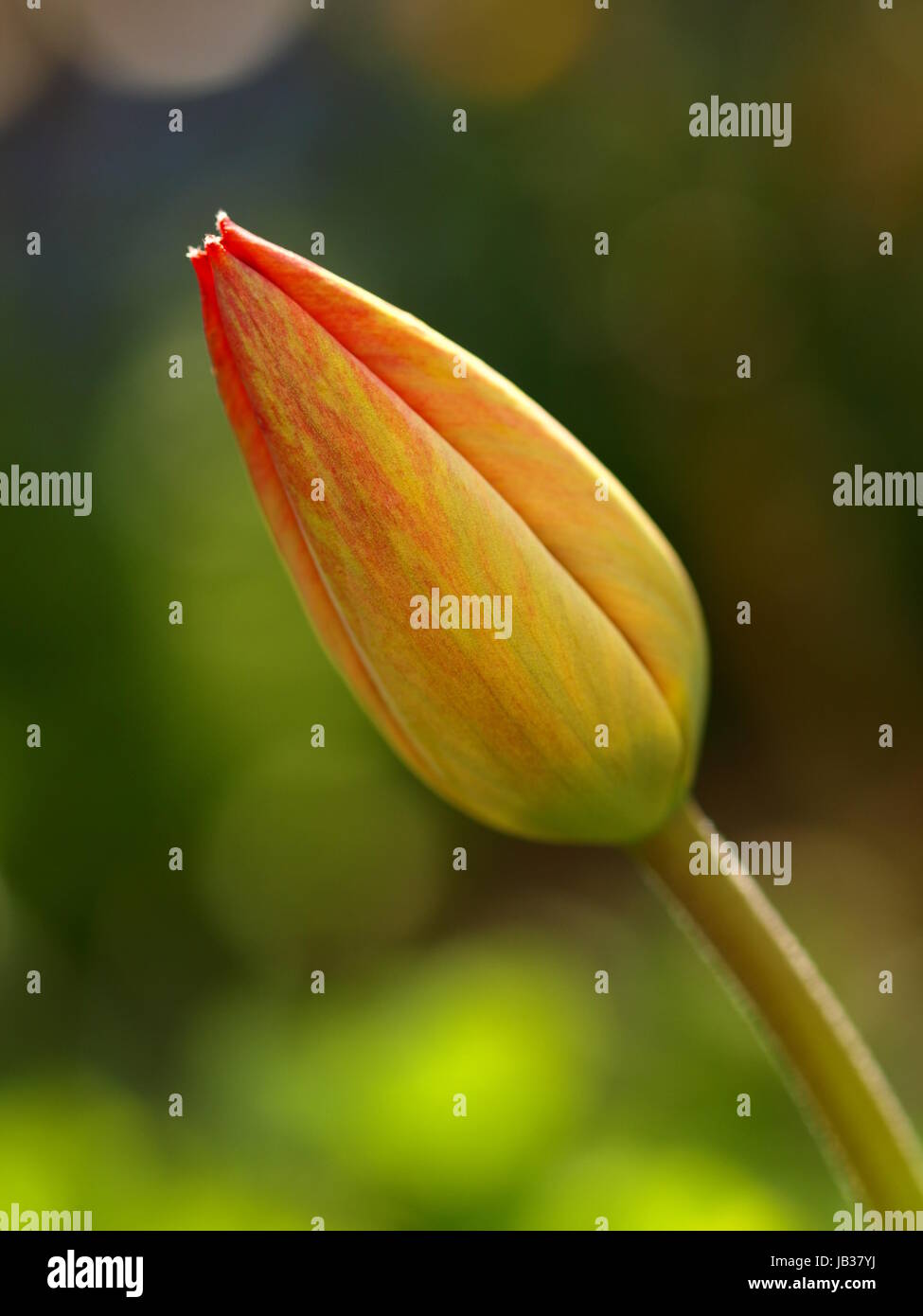 Veschlossen hi-res stock photography and images - Alamy