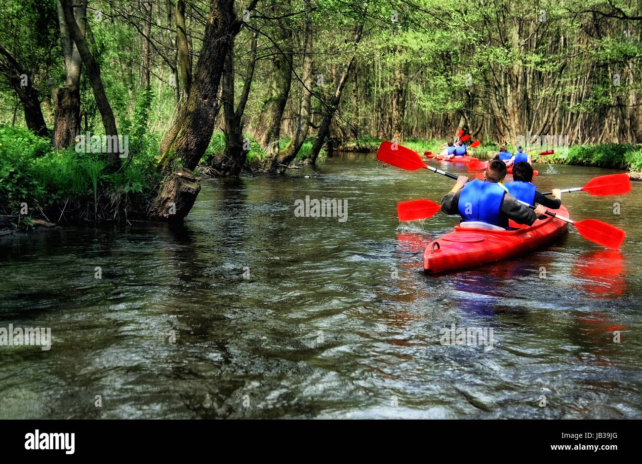 Tourists kayaking on river in forest Stock Photo - Alamy