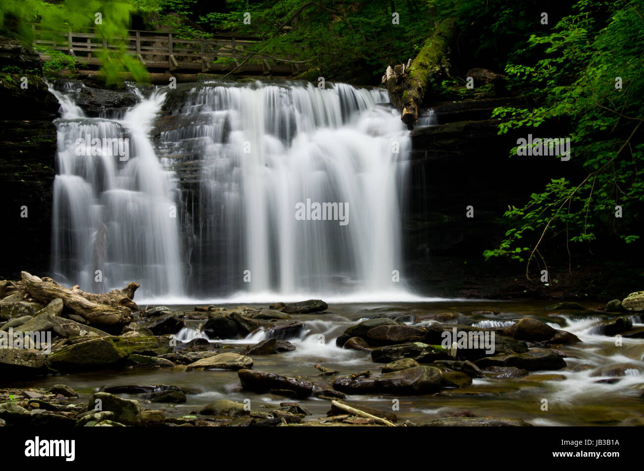Waterfall in the Forest Stock Photo - Alamy