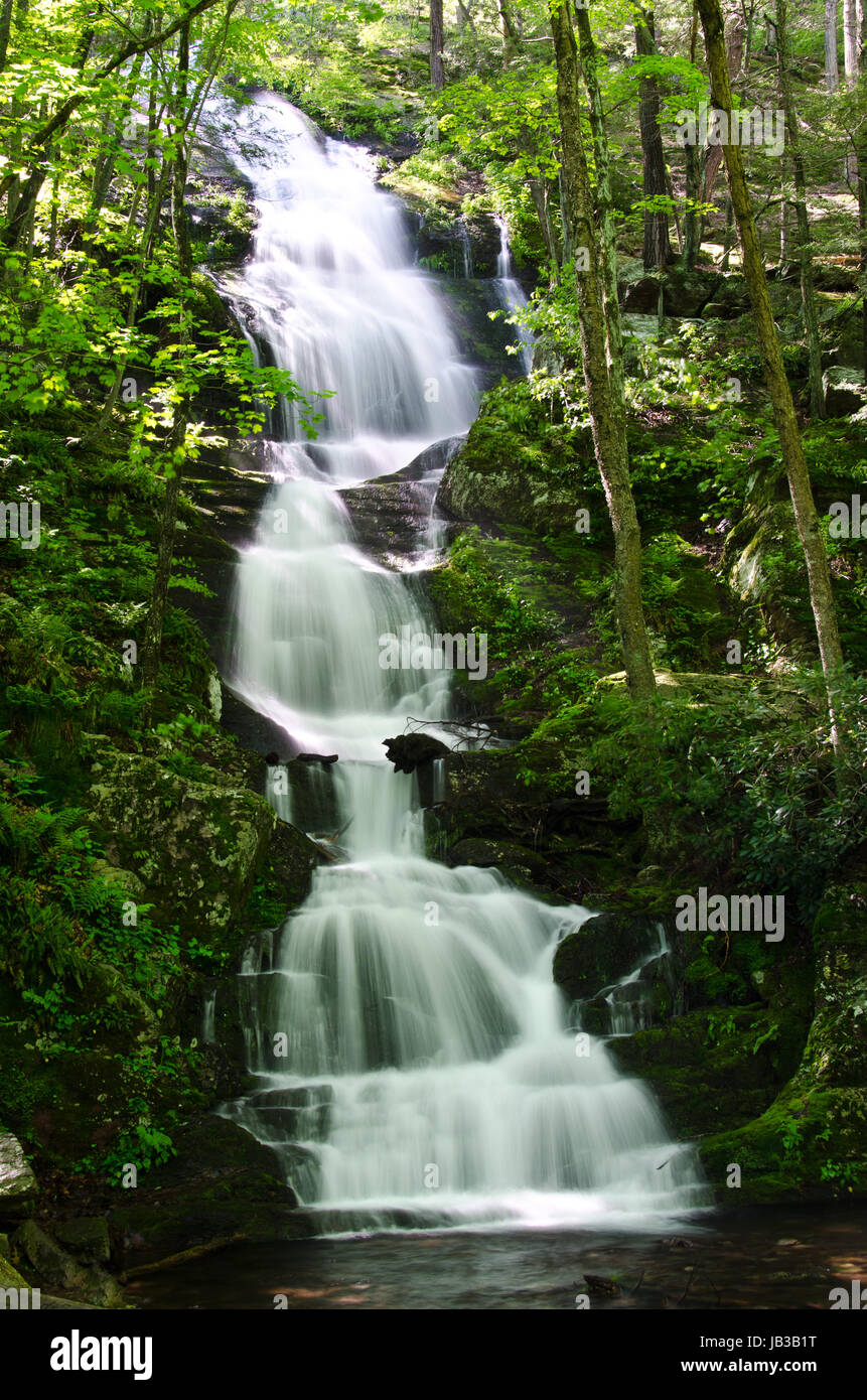 Waterfall in the Forest Stock Photo - Alamy