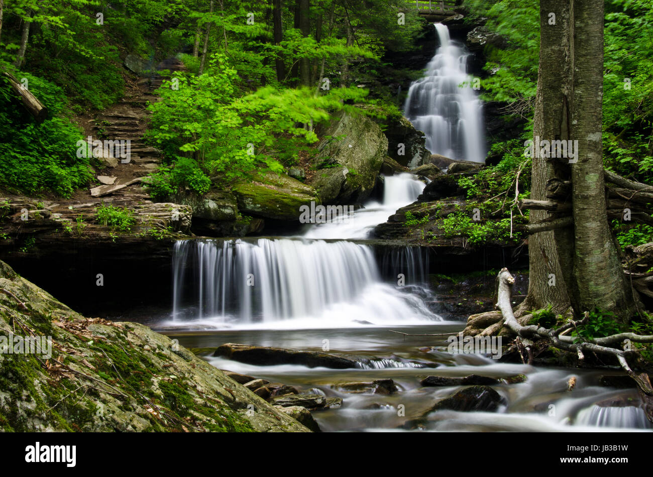 Waterfall in the Forest Stock Photo - Alamy