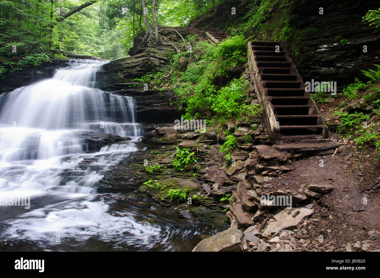 Waterfall in the Forest Stock Photo - Alamy