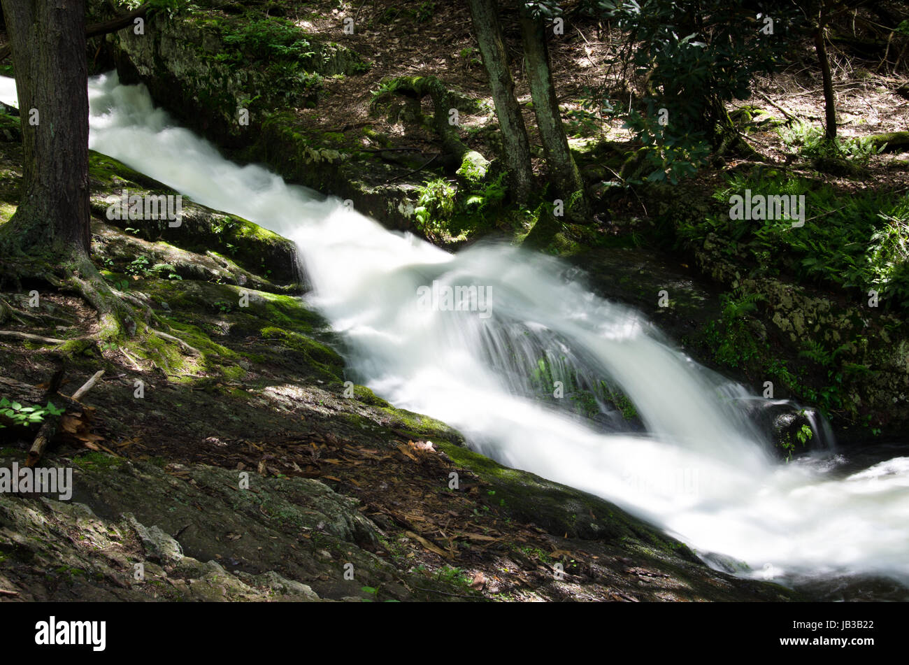 Water Gushing Down Stream Stock Photo - Alamy