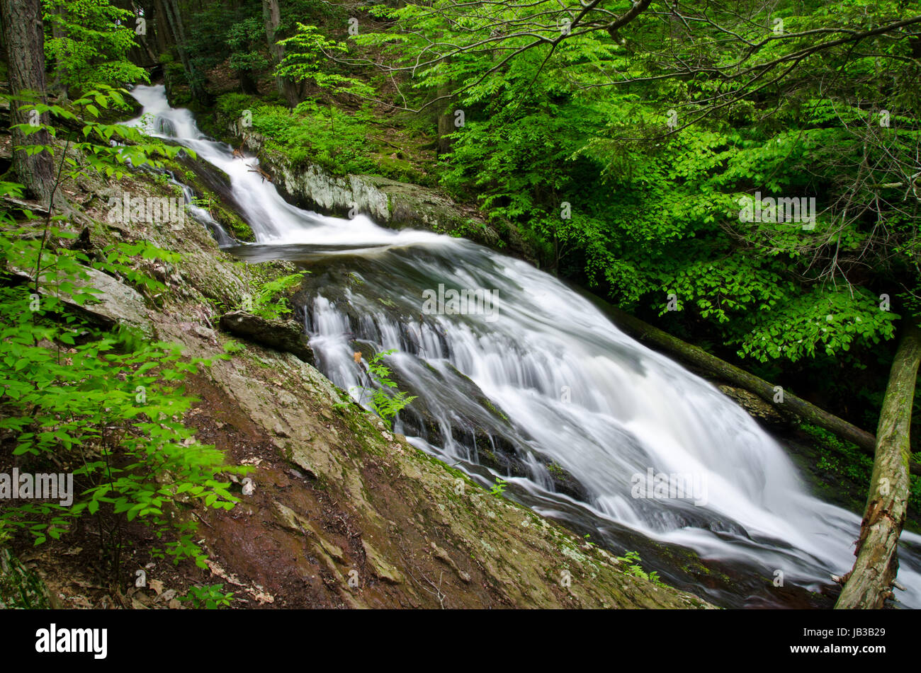 Water Gushing Down Stream Stock Photo - Alamy