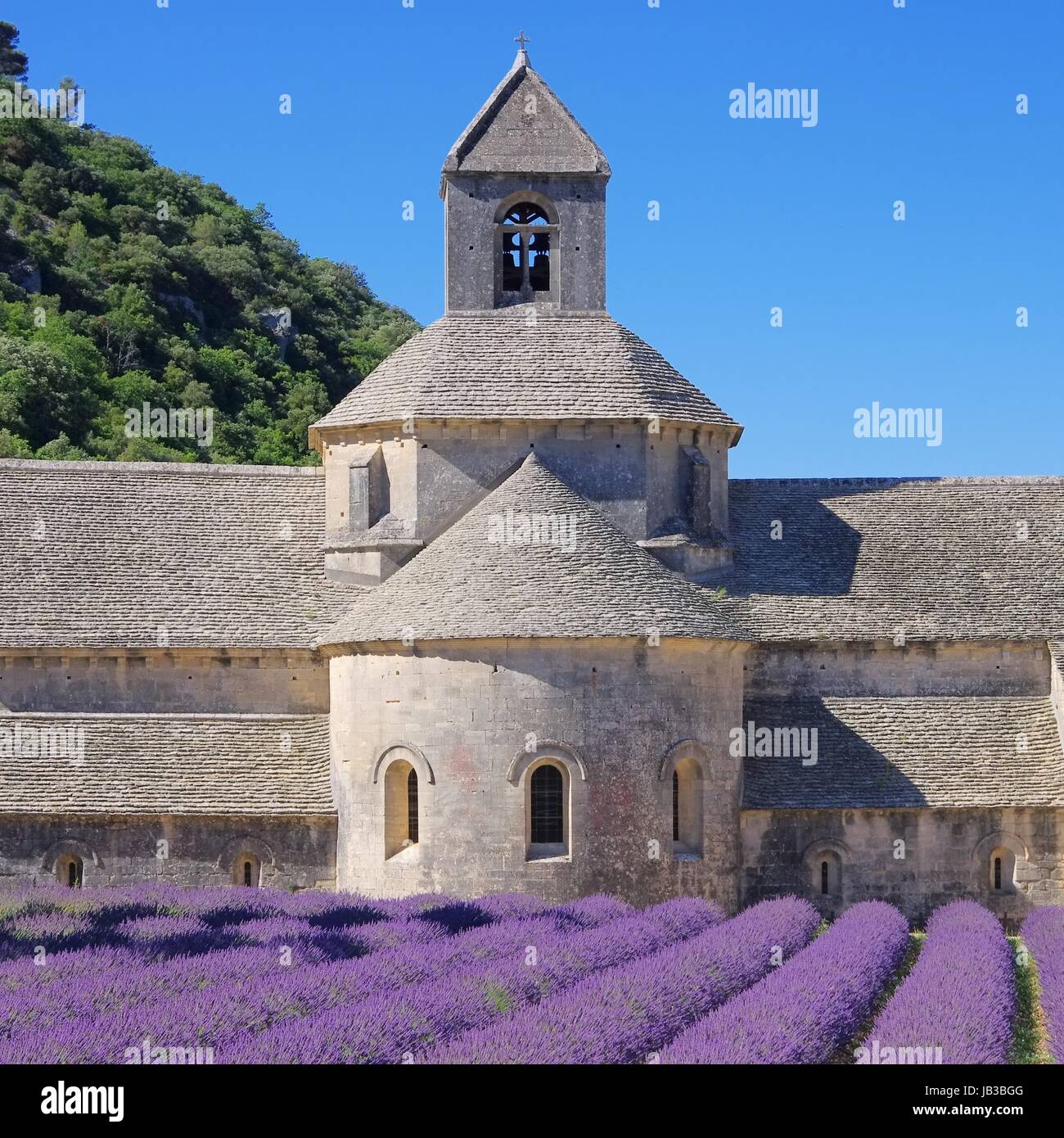 Abbey senanque abtei senanque hi-res stock photography and images - Alamy