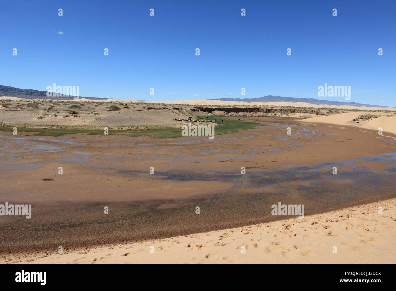 oasis in the gobi desert Stock Photo - Alamy