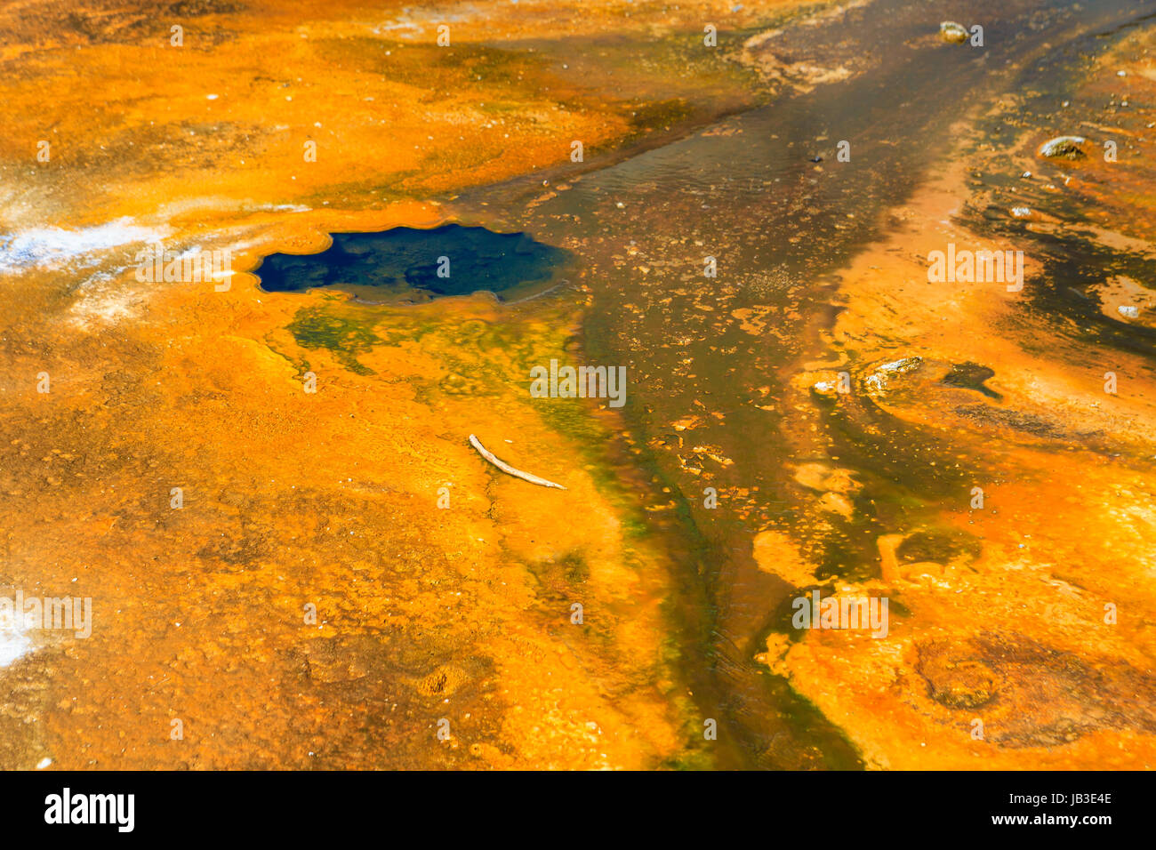 Microbial mats hi-res stock photography and images - Alamy