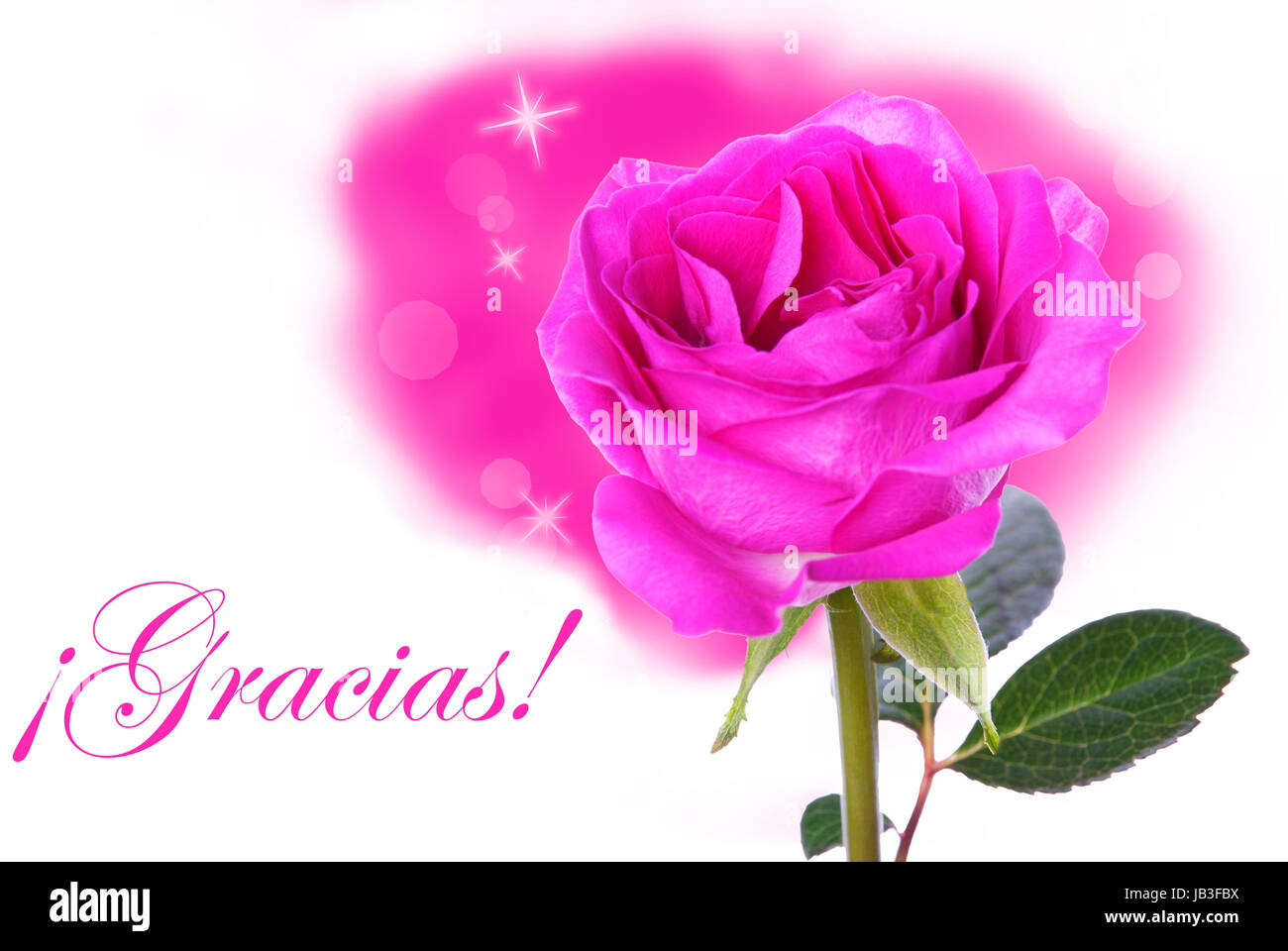 A Pink Rose as Background with the Spanish Word Gracias which means ...