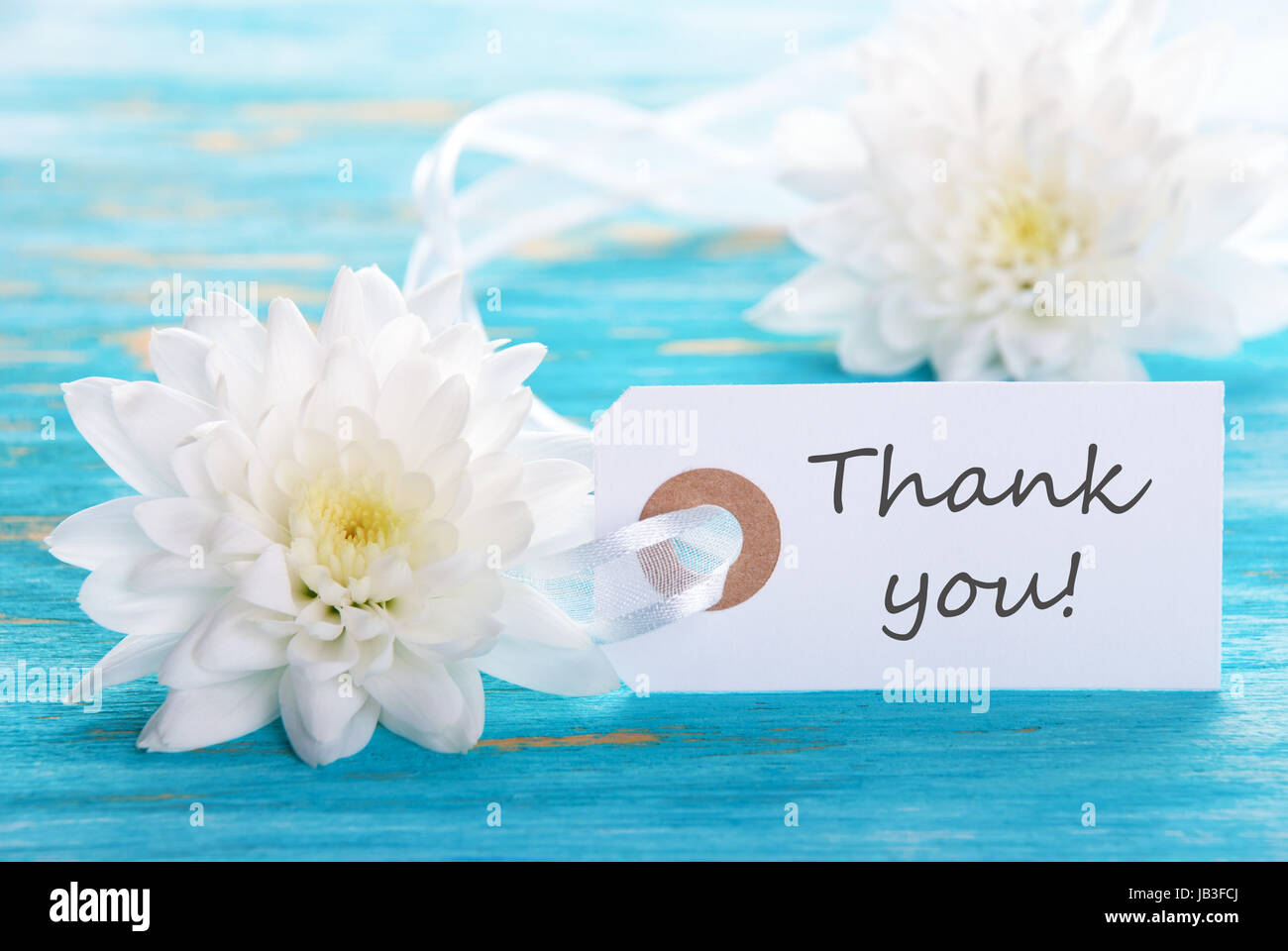 Turquoise Background with White Flowers and Thank You Label Stock Photo ...