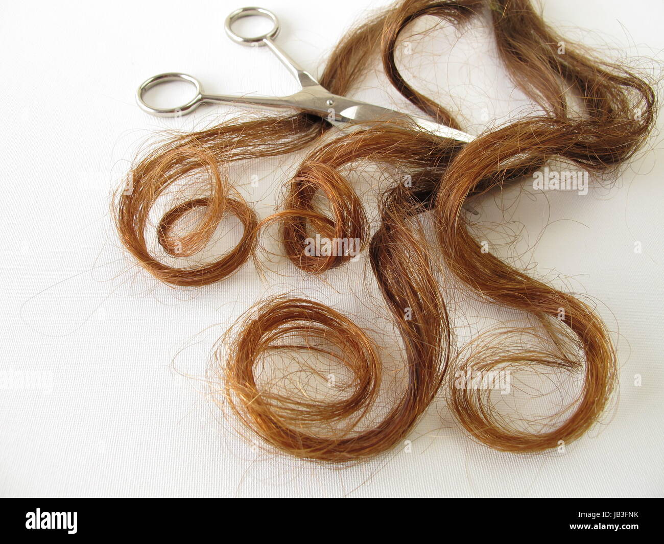 chestnut brown scissors Stock Photo - Alamy