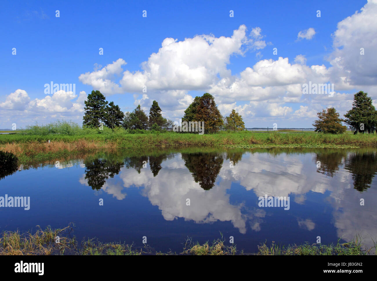 in a lake in florida reflects the sky Stock Photo - Alamy