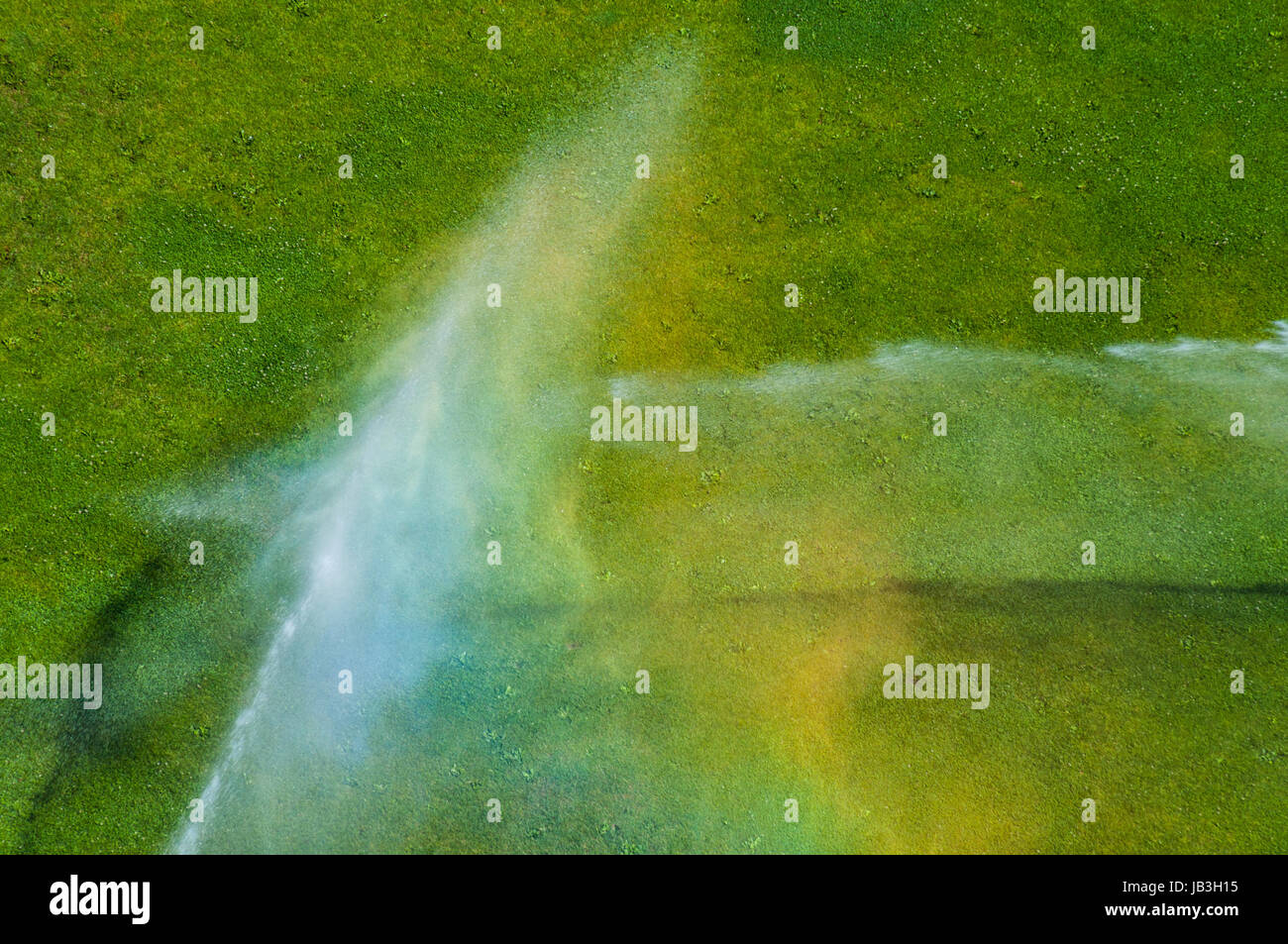 lawn in summer getting watered by a sprinkler Stock Photo - Alamy