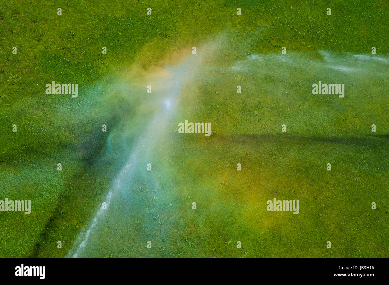 lawn in summer getting watered by a sprinkler Stock Photo - Alamy