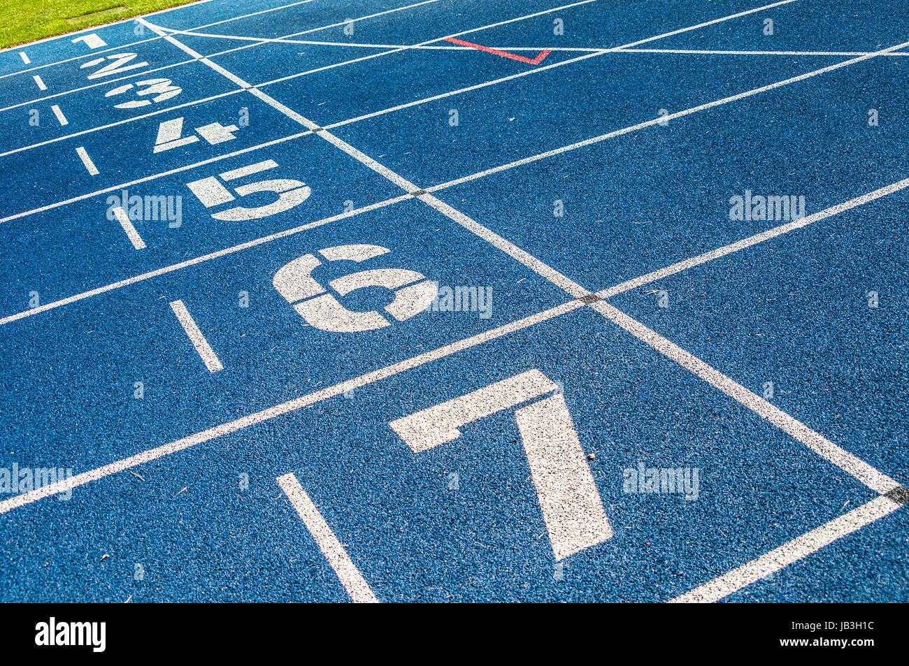 background of the start line of blue running tracks Stock Photo - Alamy